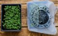 Les Fermes Lufa Broccoli Microgreens Recalled For E. coli