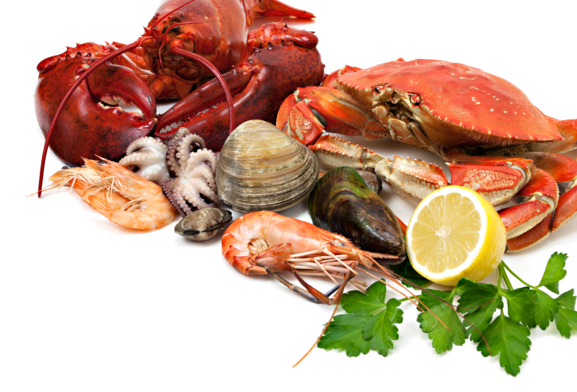 California Warns Consumers to Avoid Seafood Harvested in Northern ...